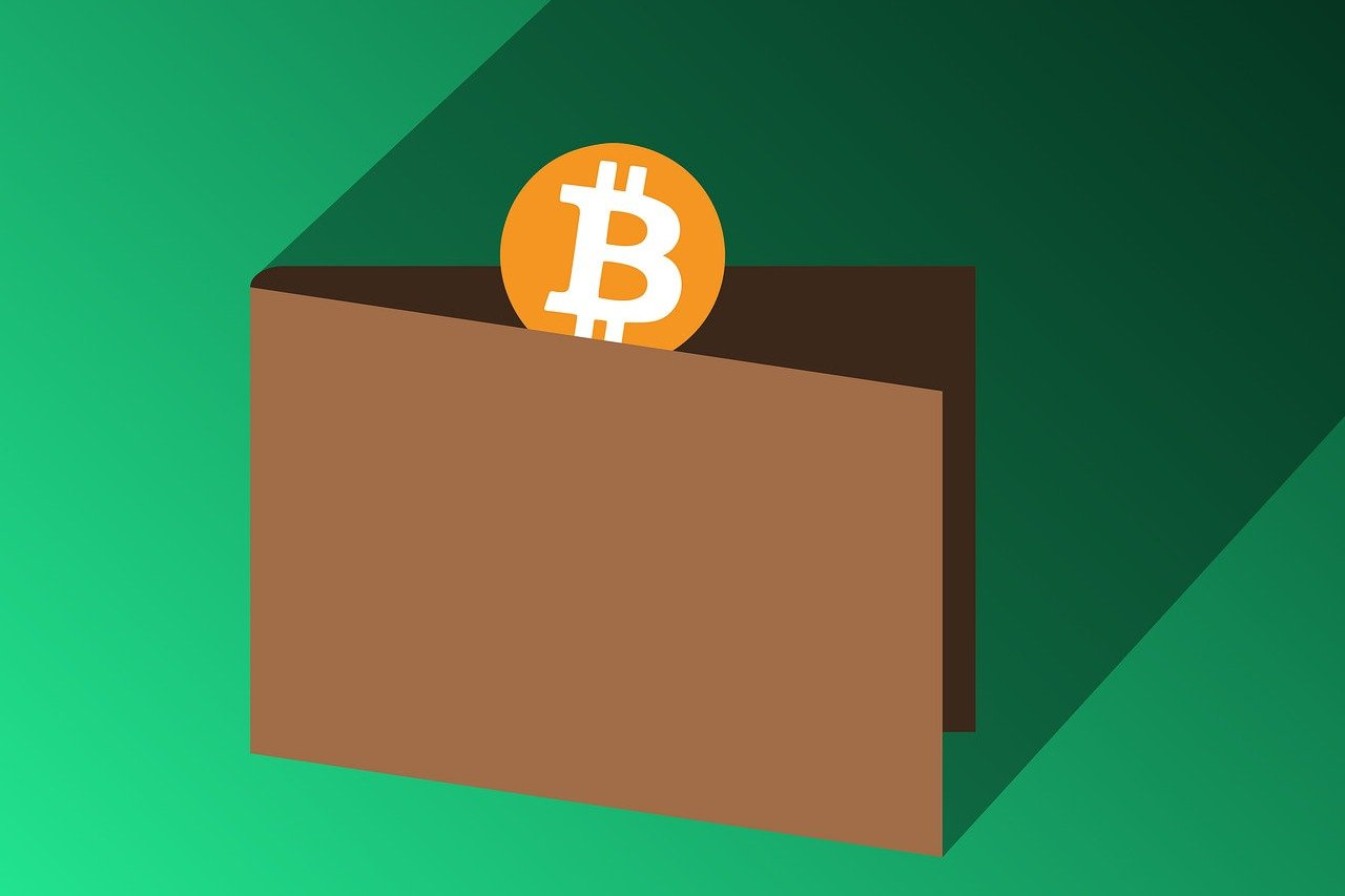 How NOT to Get Your Crypto Wallet Drained - Beaglenaut